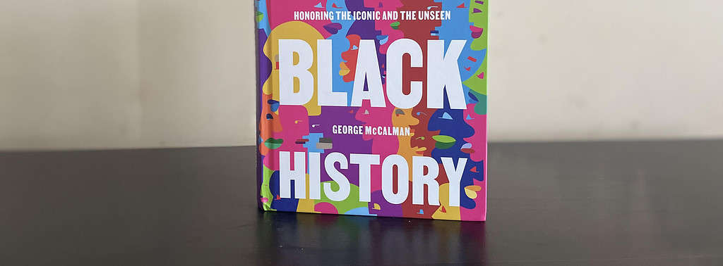 OPINION | The real life implications of erasing history | Jacksonville ...