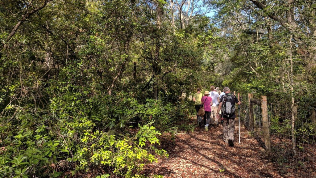 North Florida Land Trust receives $510,000 grant | Jacksonville Today