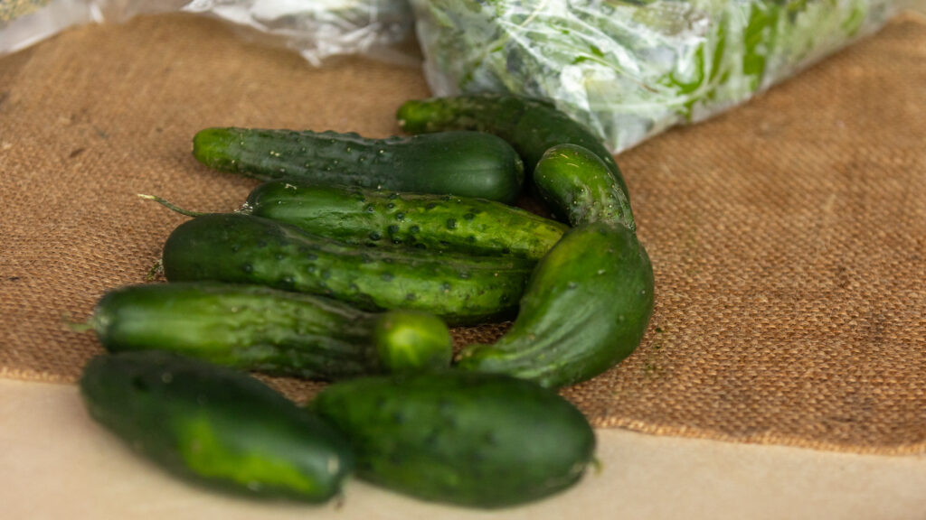 Eartha’s Farm & Market brings agribusiness to Northwest Jacksonville ...