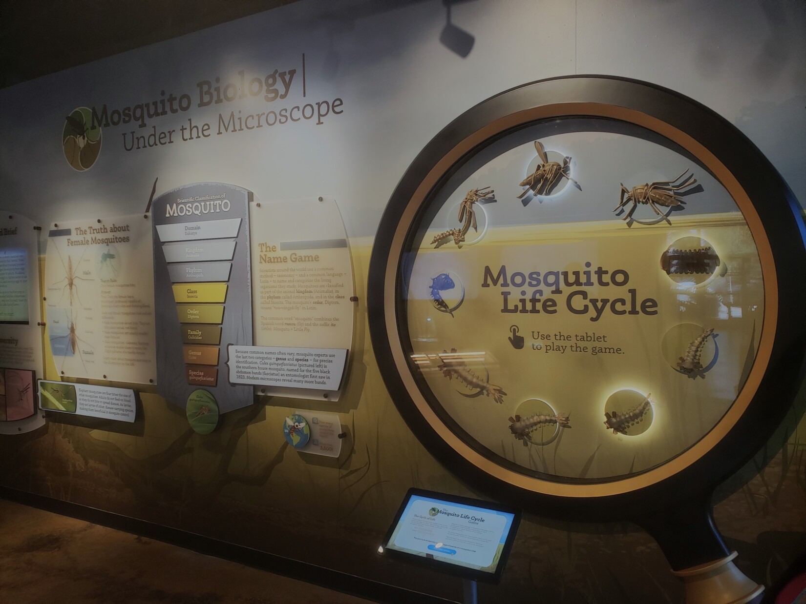Now you can take the kids to the mosquito museum in St. Augustine ...