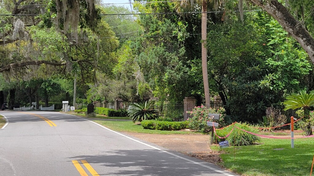 Mandarin residents fear loss of trees for sidewalk project ...