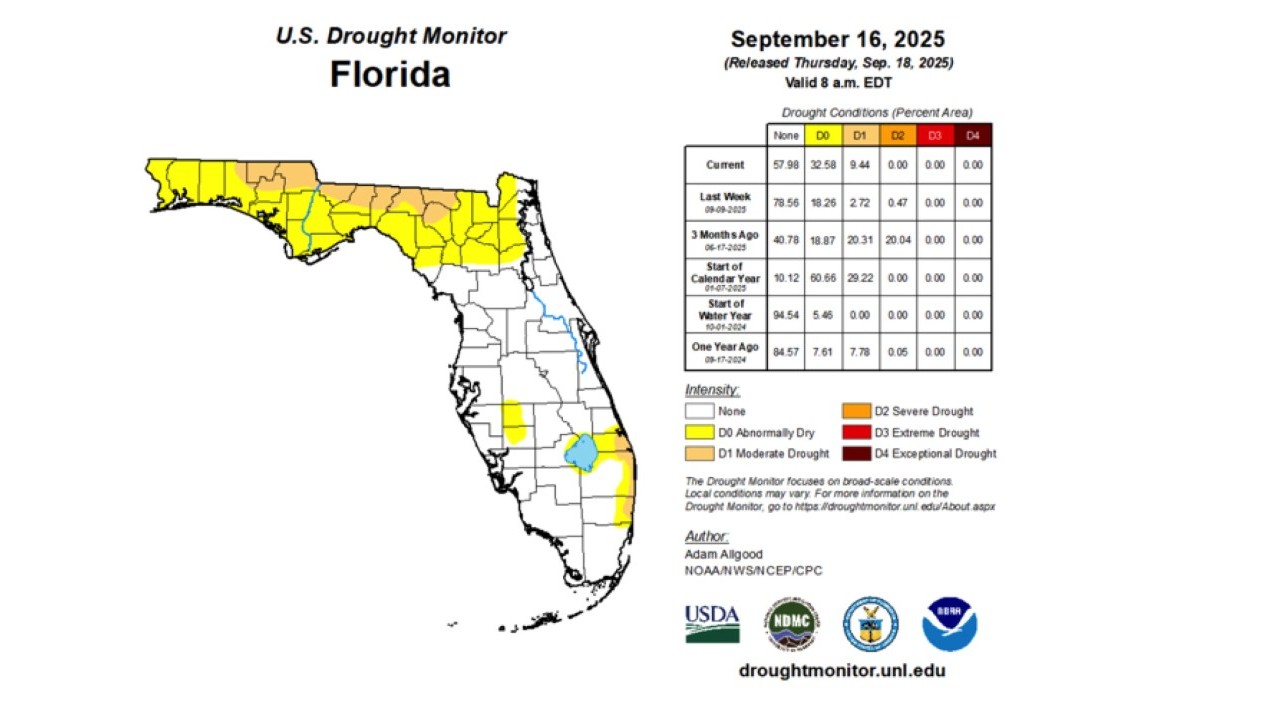 Drought conditions worsen in North Florida | Jacksonville Today